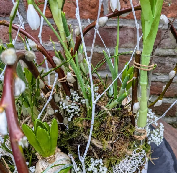 Tuintje op Tafel Wit - Creatief Met Groen